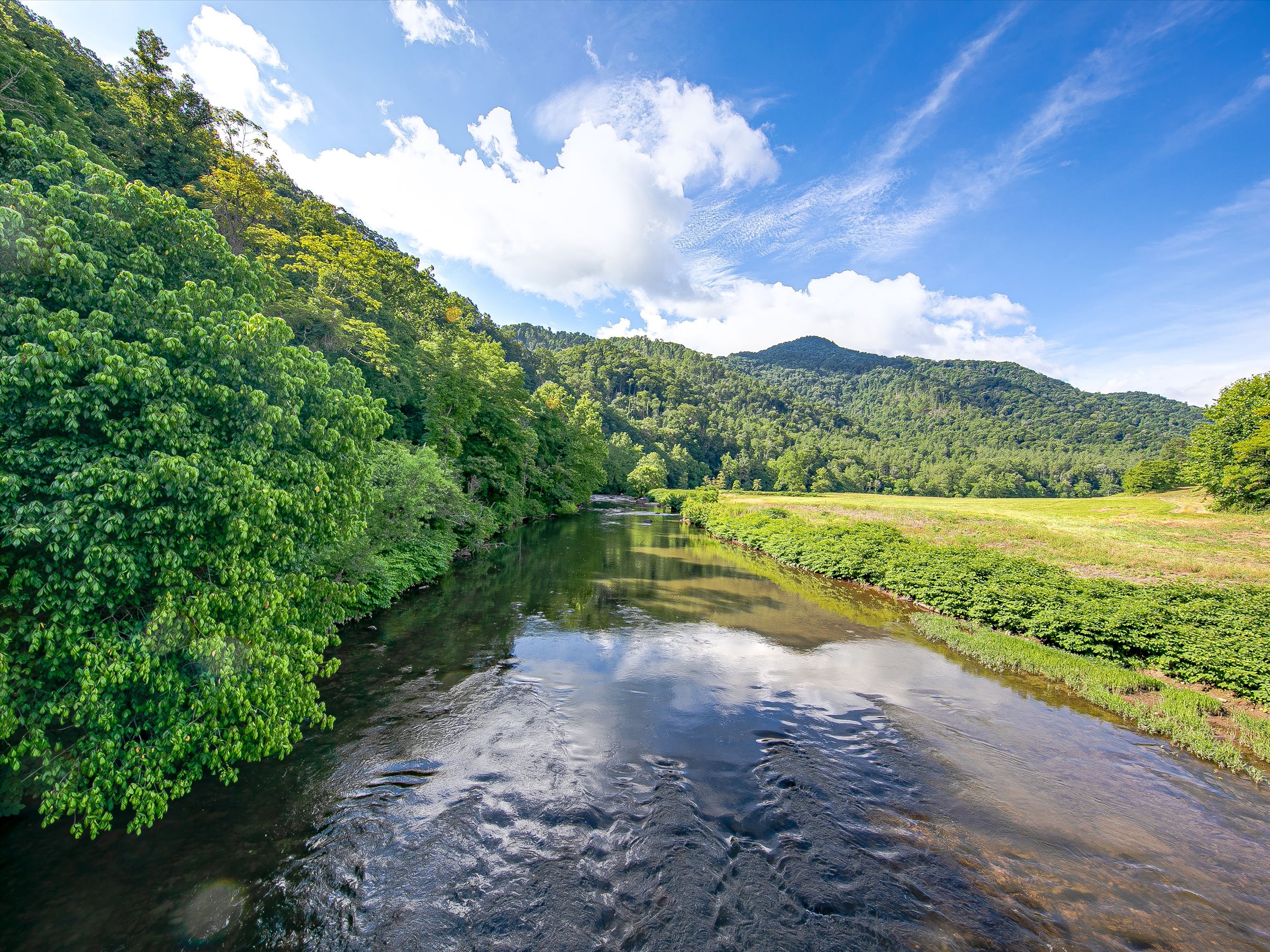 Riversong Land for Sale | 404+ Acres | 3+ Miles of River Frontage